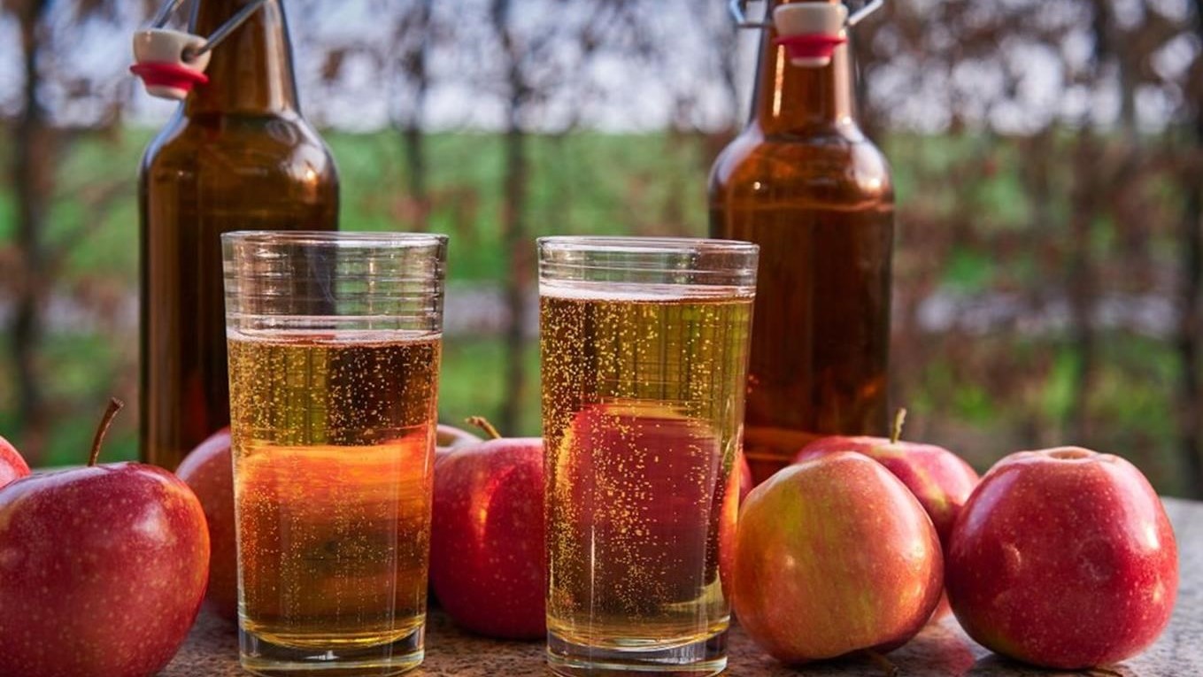 Domácí příprava alkoholu – ALKOHOL DRINK