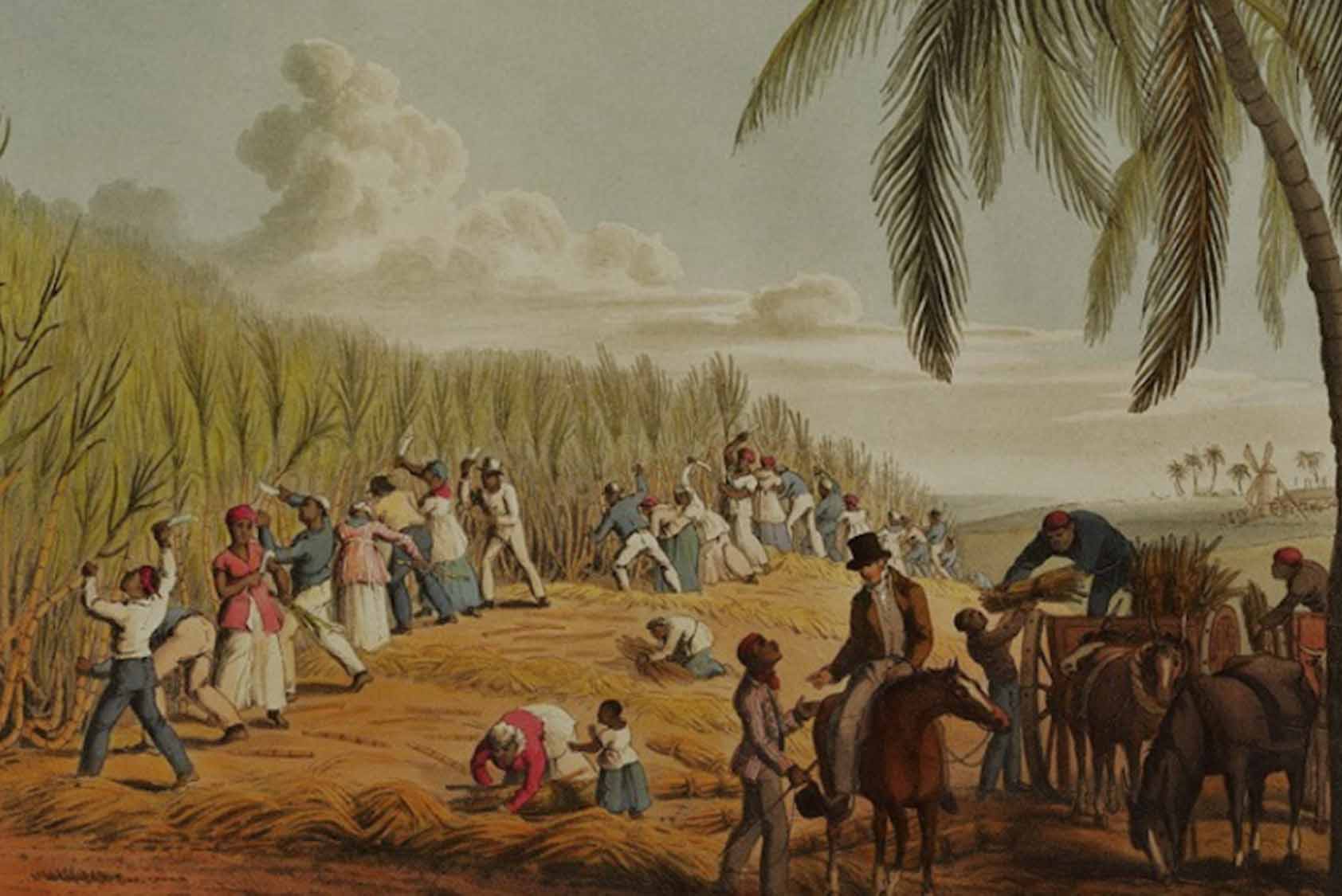 Historie a definice rumu – ALKOHOL DRINK
