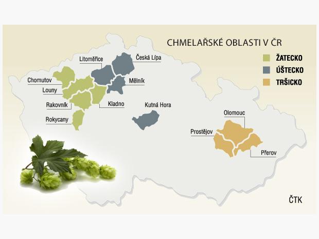 Oblasti pěstování chmele v Česku – ALKOHOL DRINK